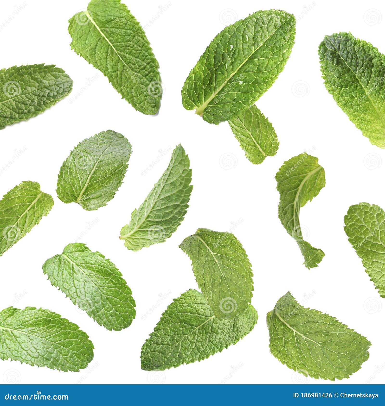 Set of Flying Green Mint Leaves on Background Stock Photo - Image of ...