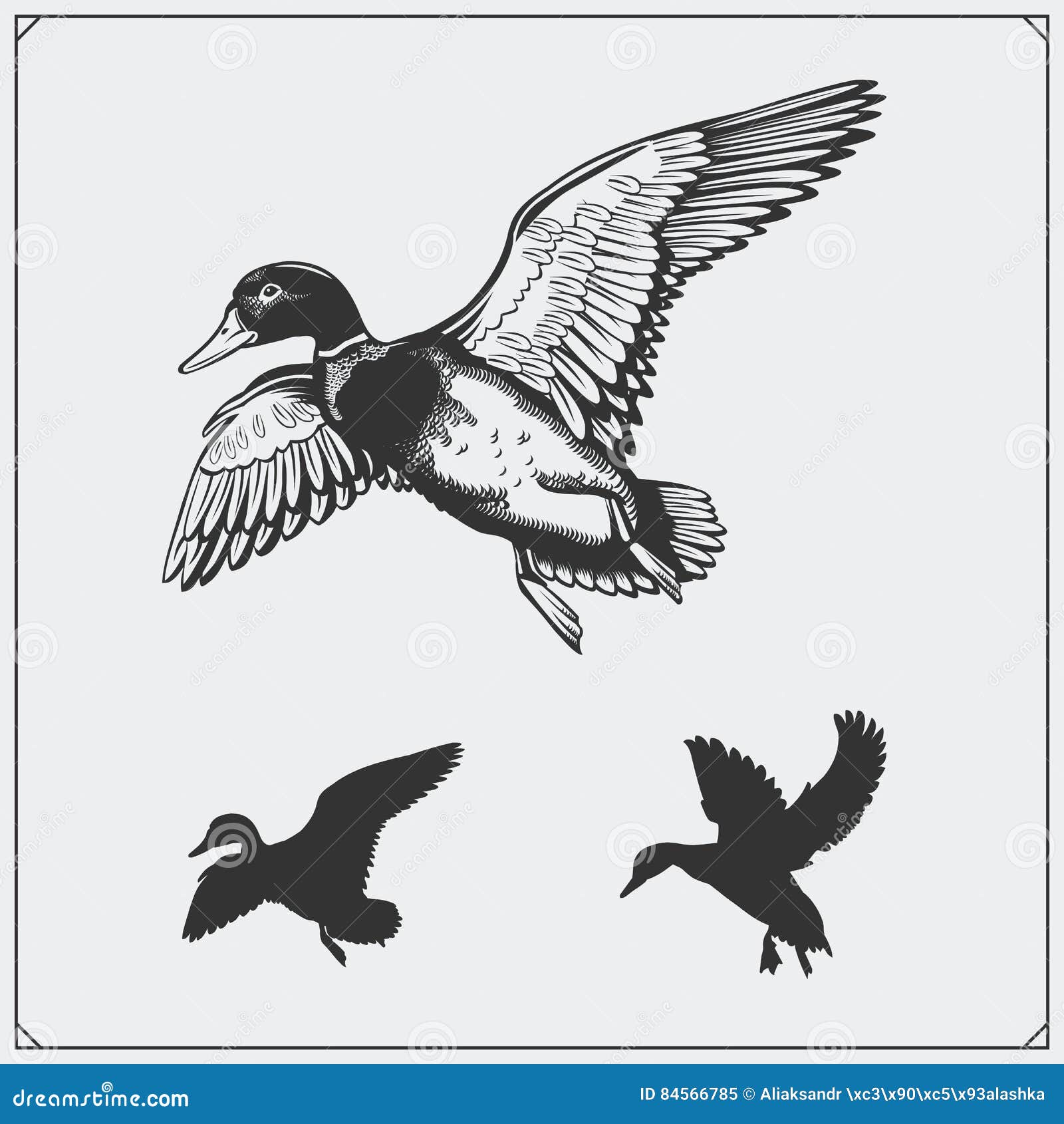 Flying Duck Mascot Vector Illustration | CartoonDealer.com #80230734