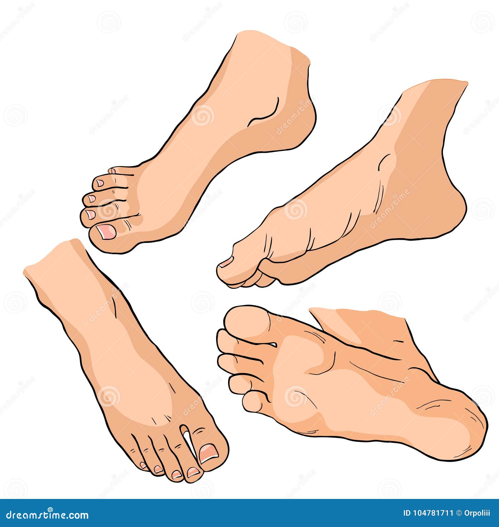 Set the Foot in Different Positions. Vector Illustration Stock Vector ...