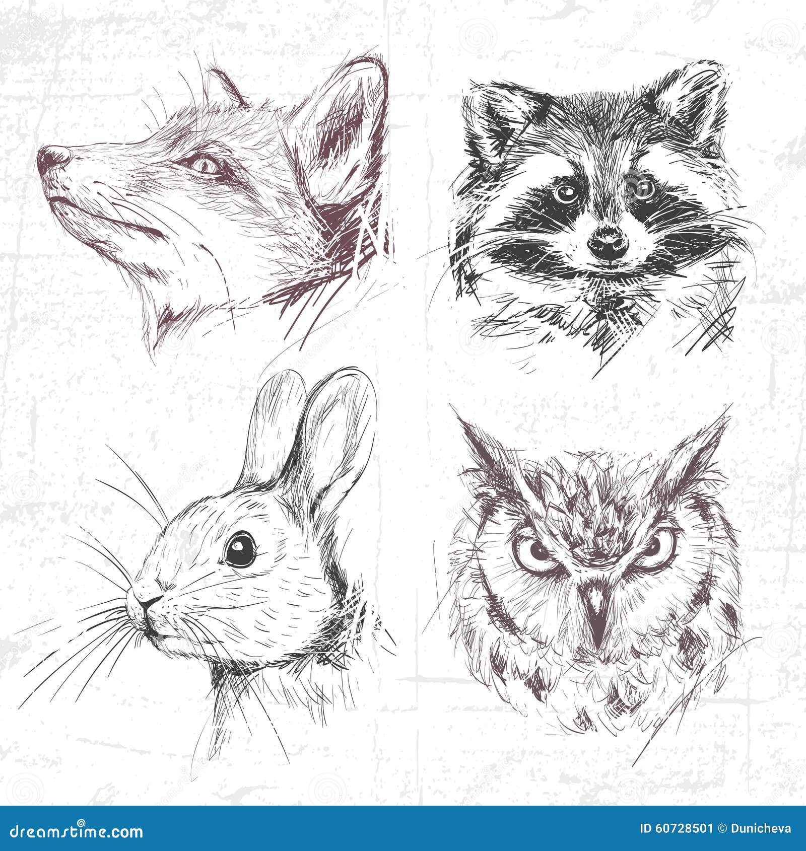 Drawings Of Animals