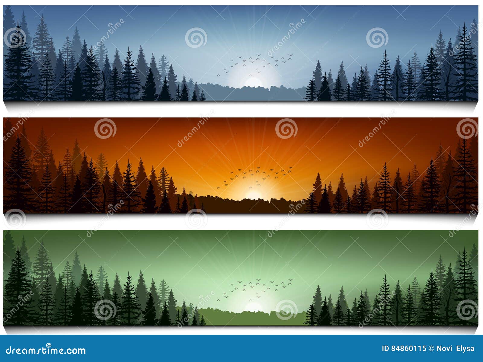 Set of Forest Landscape Scenes Banners Stock Vector - Illustration of ...