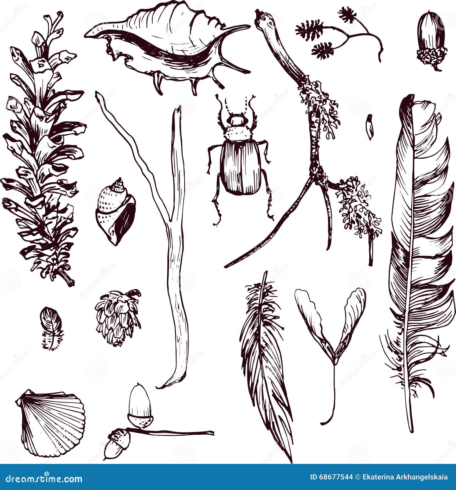 Set of forest objects stock vector. Illustration of forest - 68677544