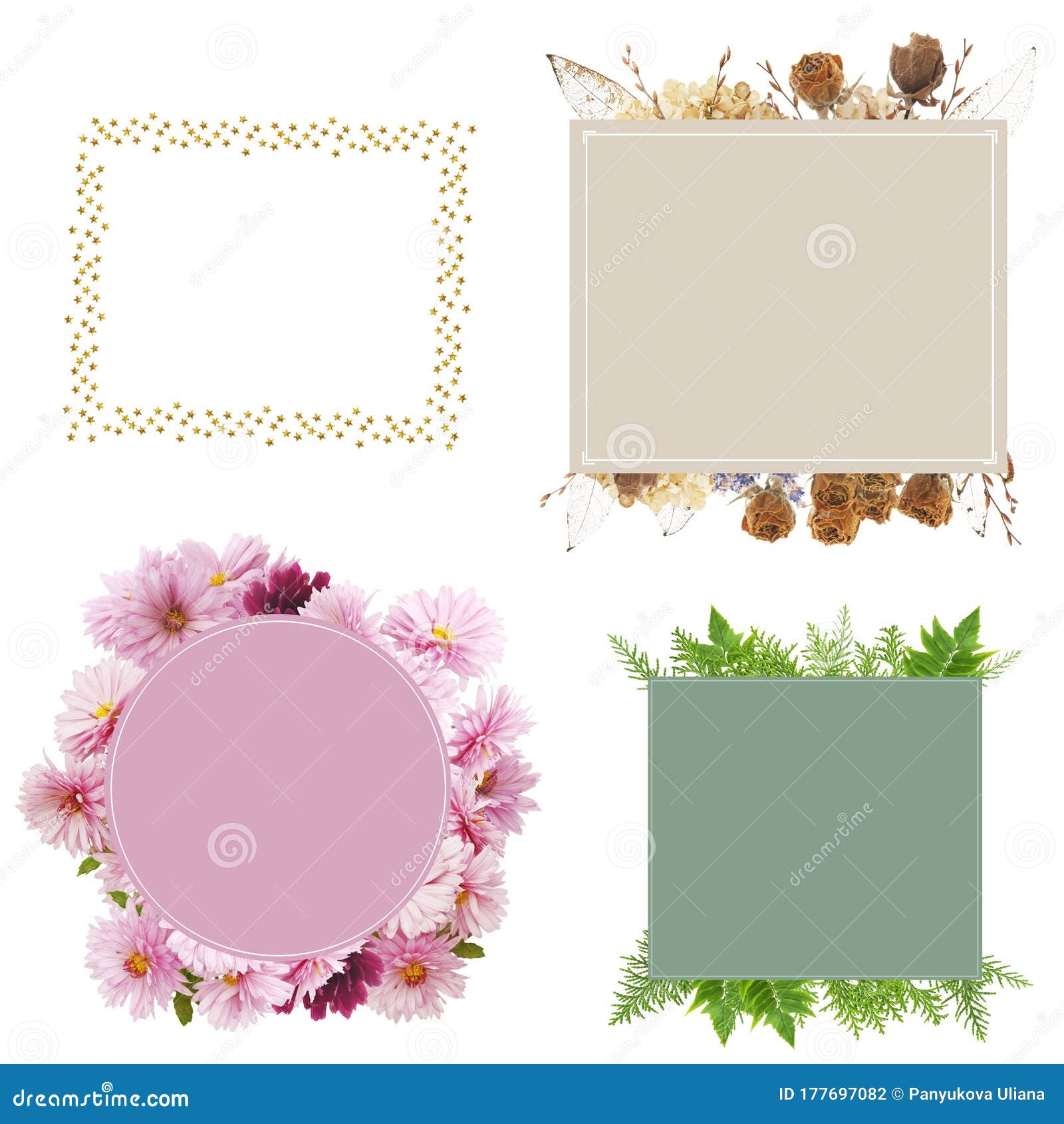 Set of Four Botanical Decorative Frames Stock Illustration ...
