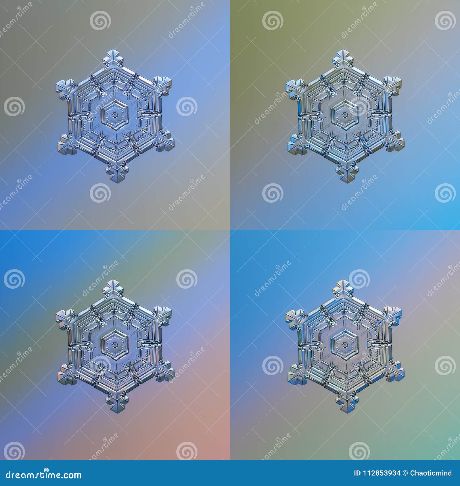Set with Four Color Variants of Real Snowflake Stock Photo - Image of ...