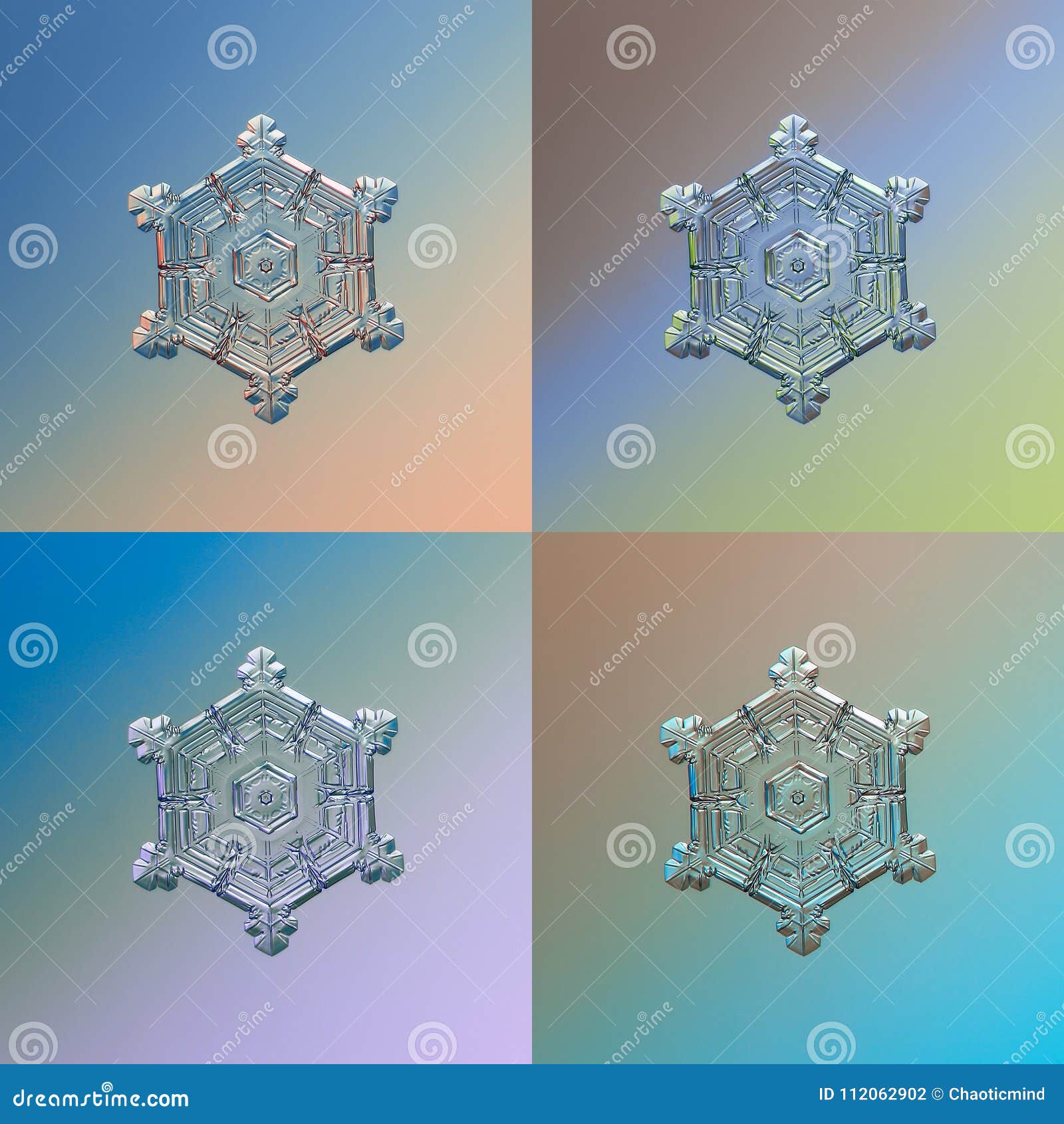 Set with Four Color Variants of Real Snowflake Stock Photo - Image of ...