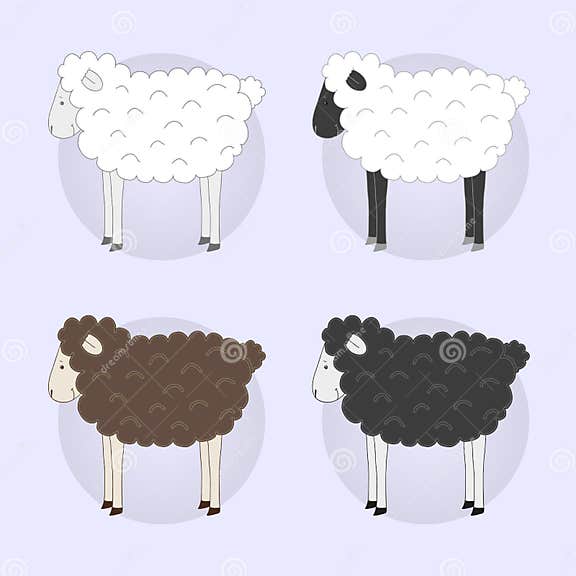 Set of Four Different Color Sheep Stock Vector - Illustration of ...