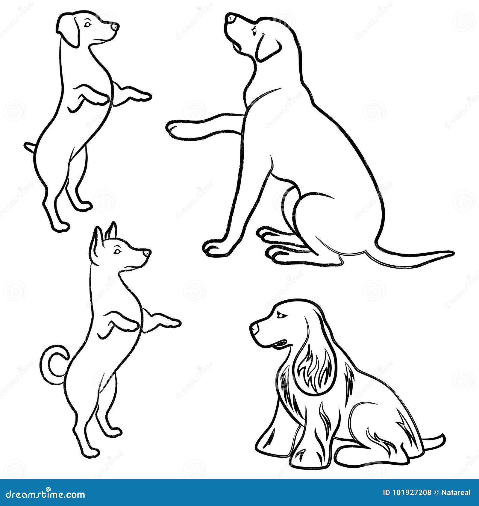 Set of four dogs stock vector. Illustration of outline - 101927208