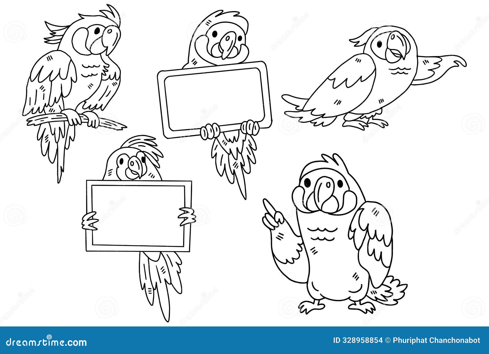 A Set of Four Drawings of Parrots Holding a Sign Stock Vector ...