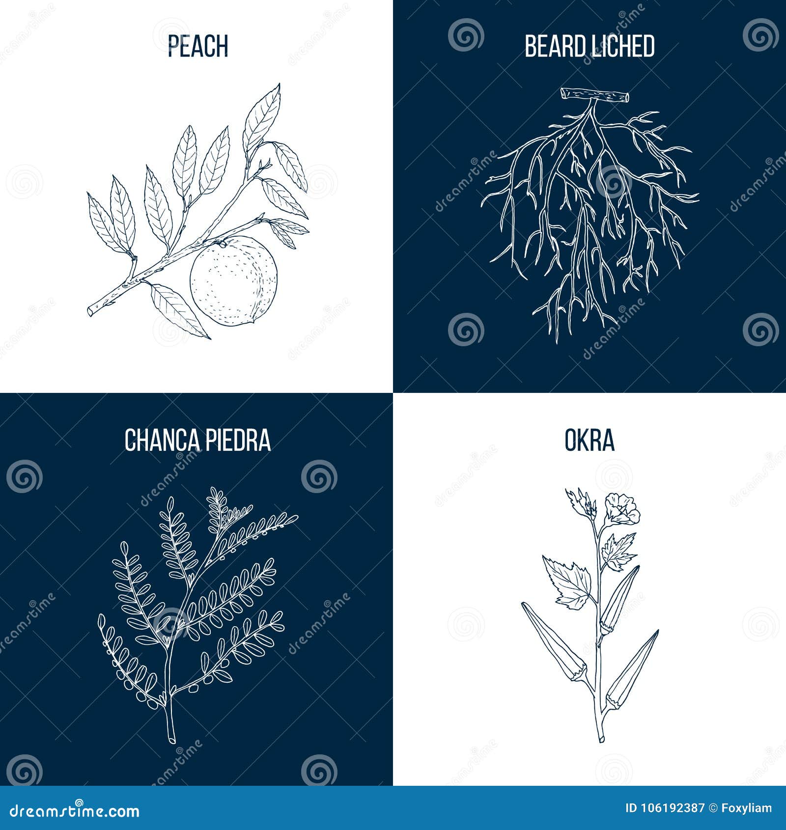 Set of Four Eatable and Medicinal Plants Stock Vector - Illustration of ...