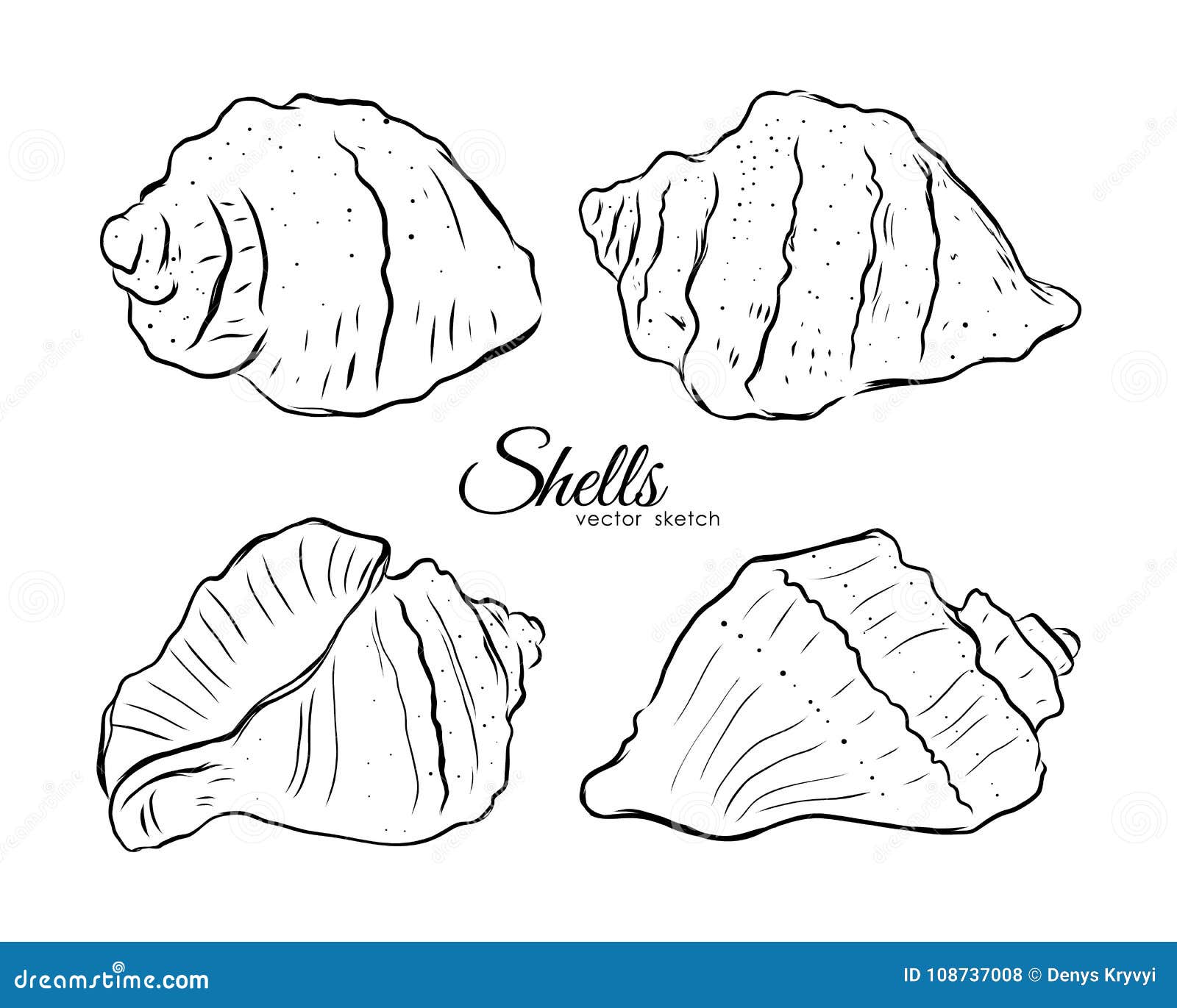 Vector Illustration: Set of Four Hand Drawn Shells. Sketch Line Design ...