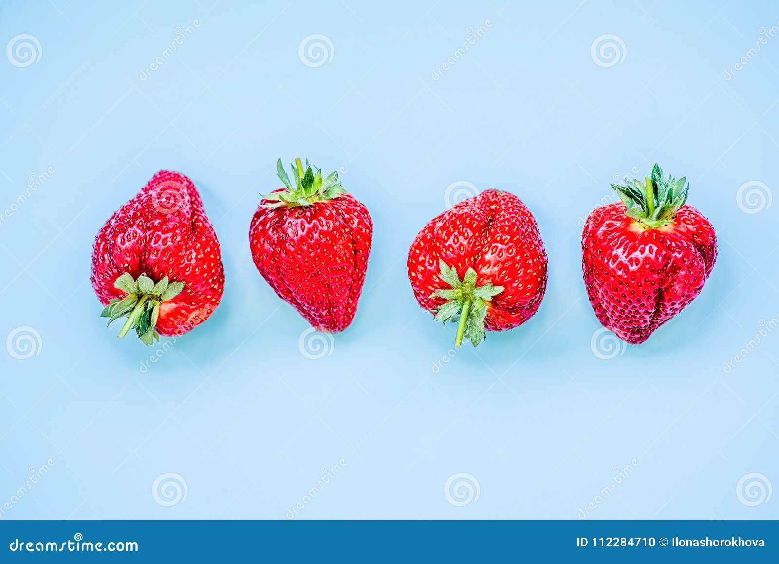 Set of Four Large Strawberries on Blue Background Stock Photo - Image ...