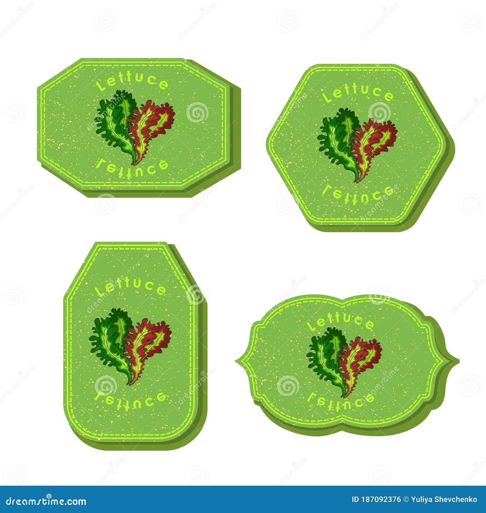 Set with Four Rectangular Labels for Lettuce Stock Vector ...