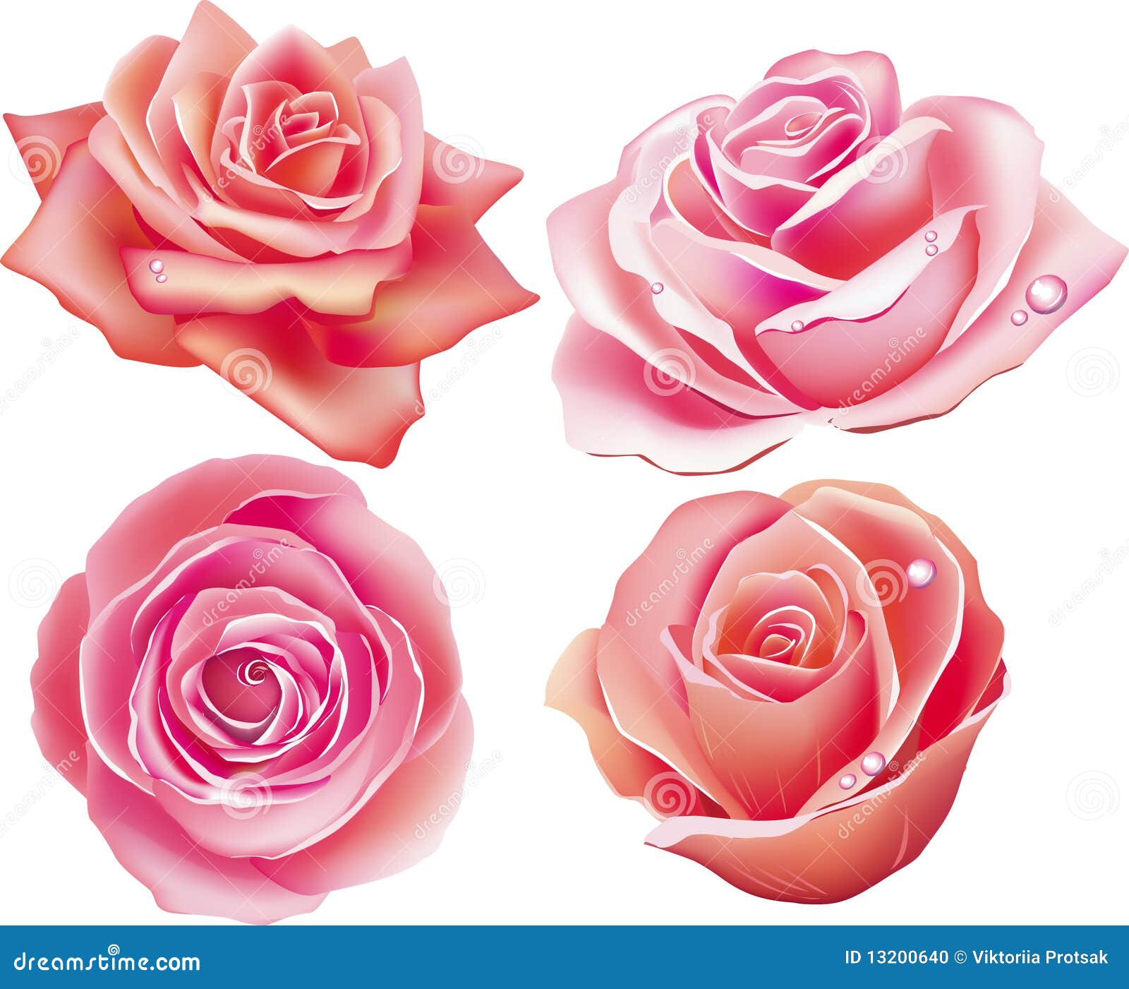 Set of four rose stock vector. Illustration of plant - 13200640