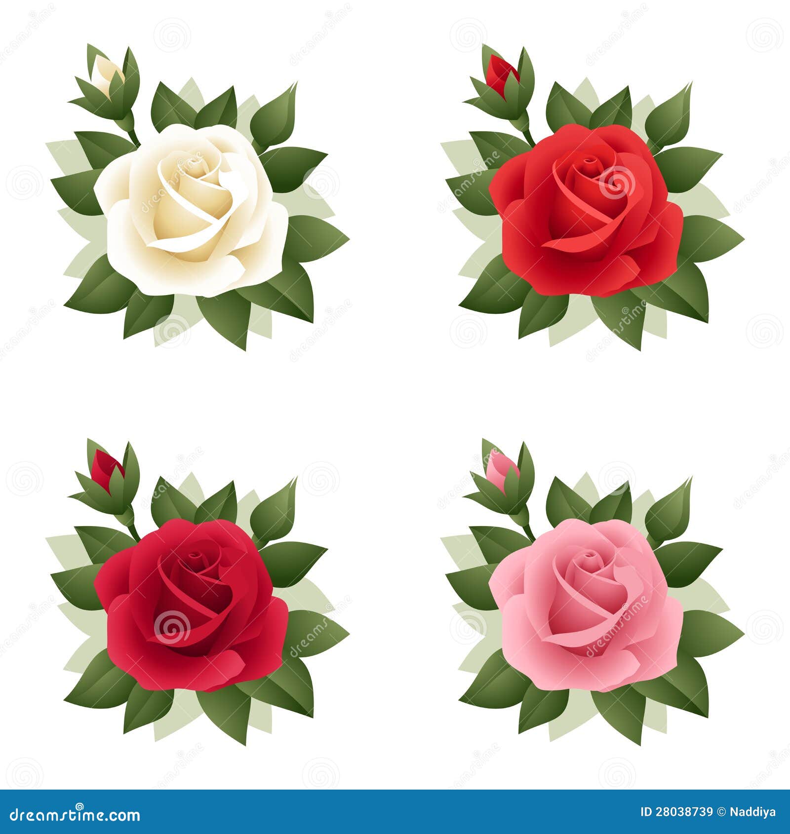 Set of Four Roses of Various Colors. Illustration. Stock Vector ...