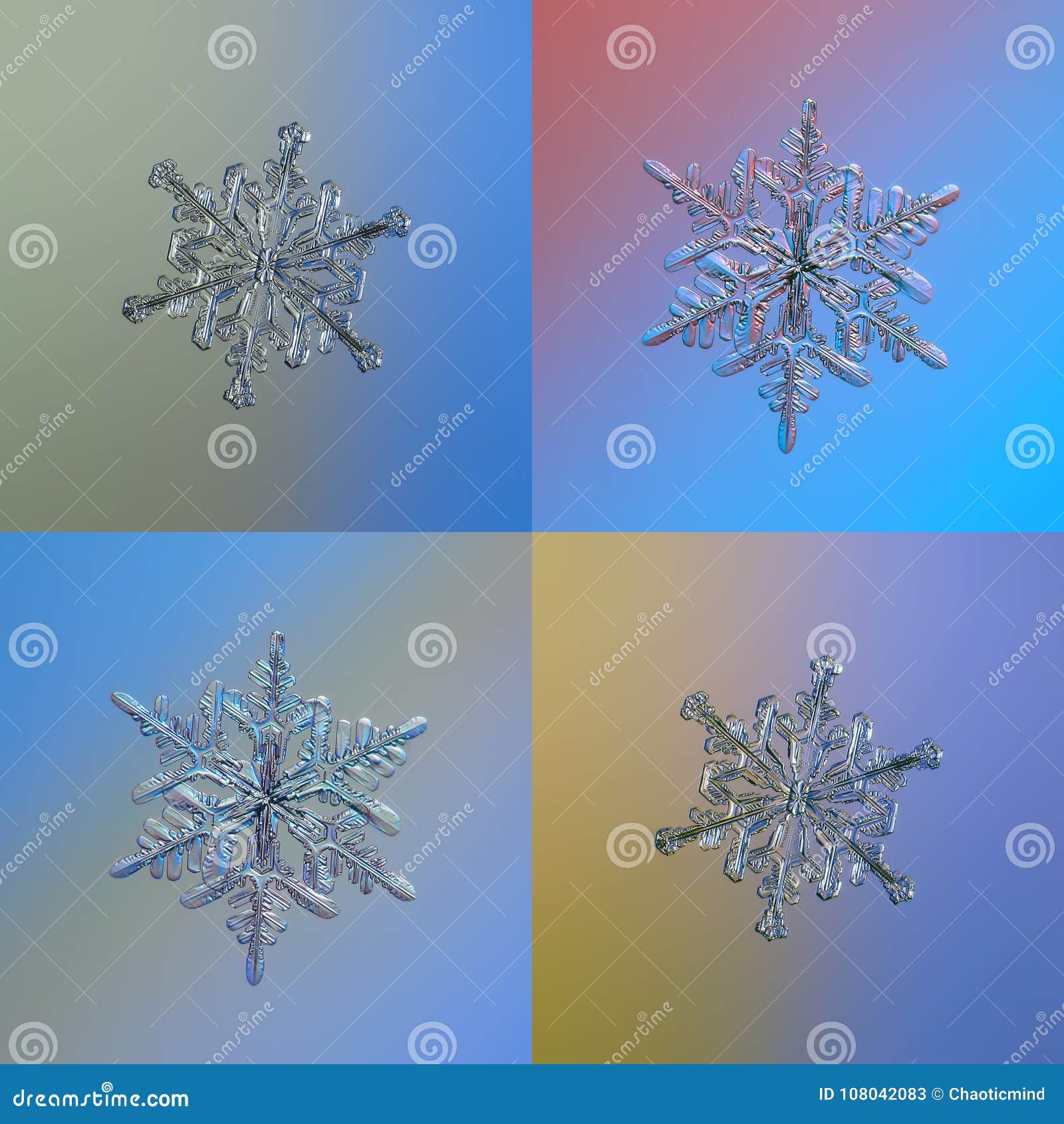 Set with Four Snowflakes on Bright Gradient Background Stock Image ...