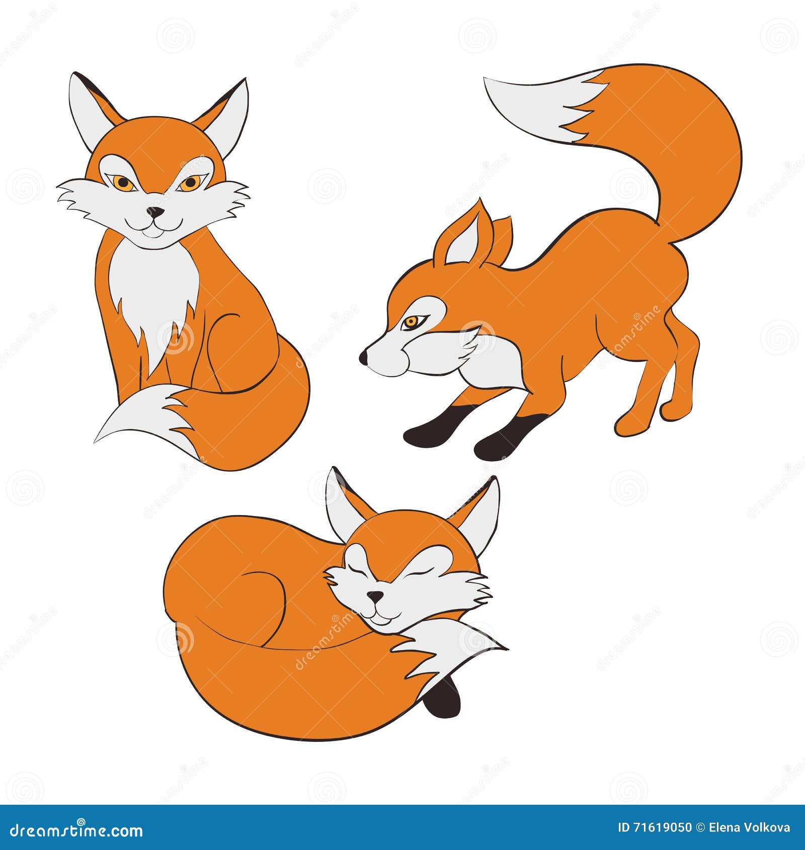 Set foxes pose. stock vector. Illustration of pattern - 71619050