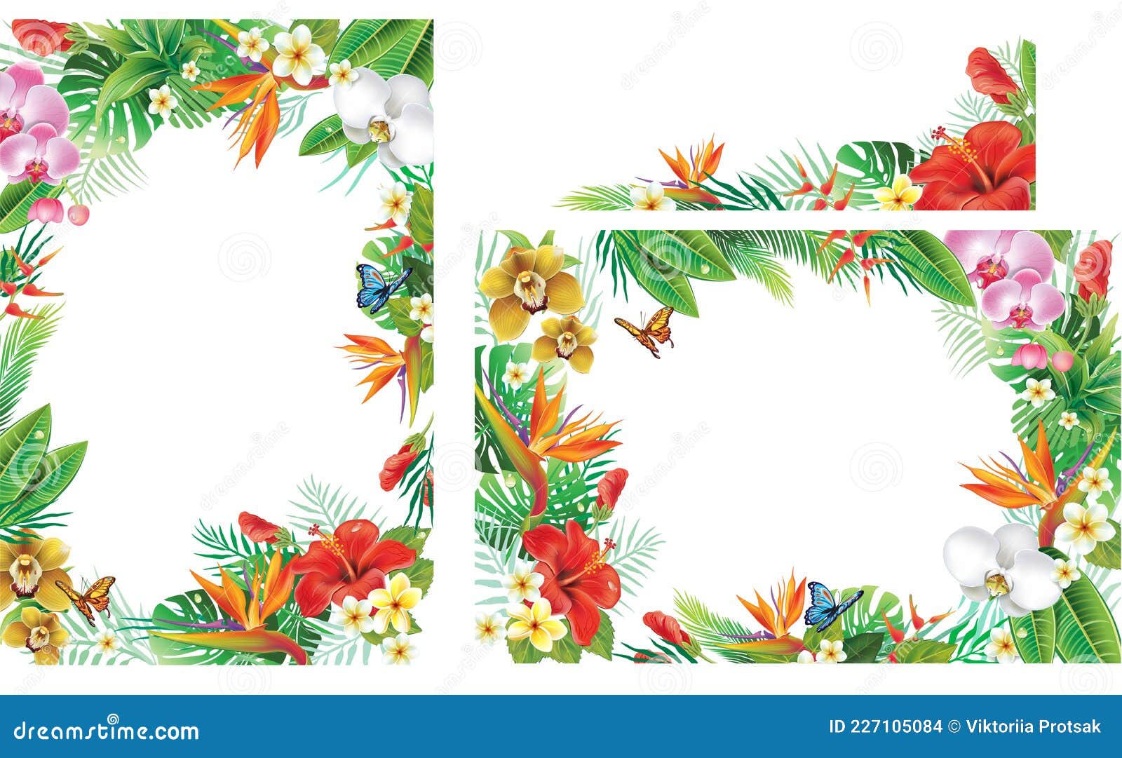 Set with Frames and Border with Tropical Plants and Flowers Stock ...