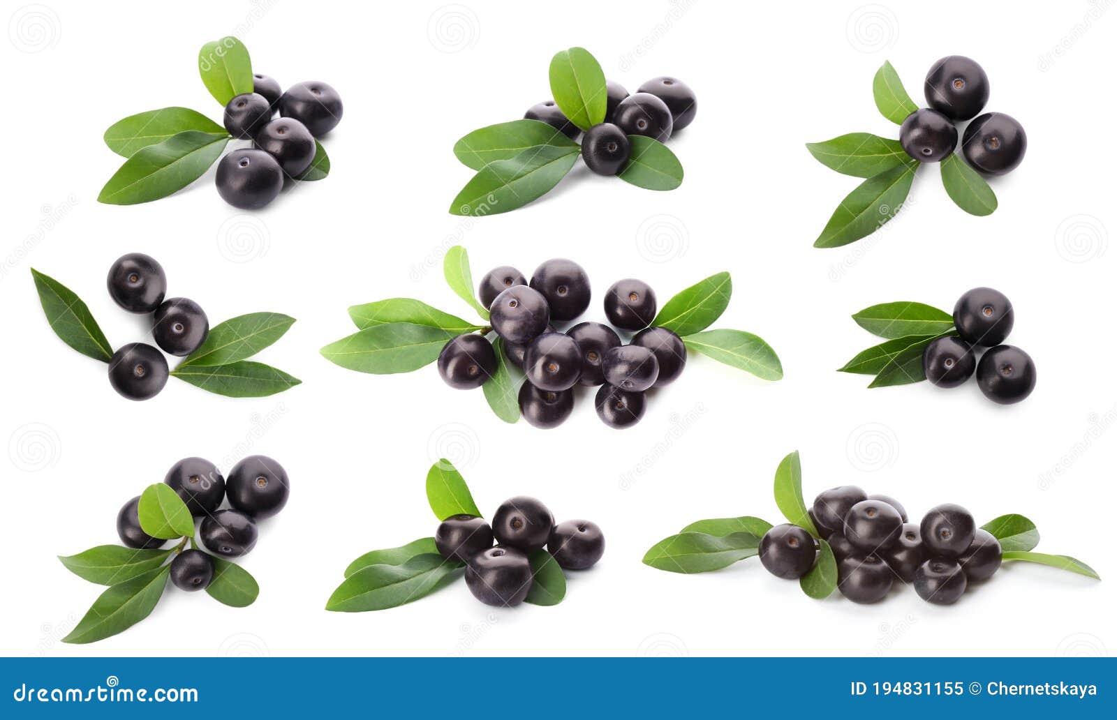 Set of Fresh Acai Berries with Green Leaves on Background Stock Image ...