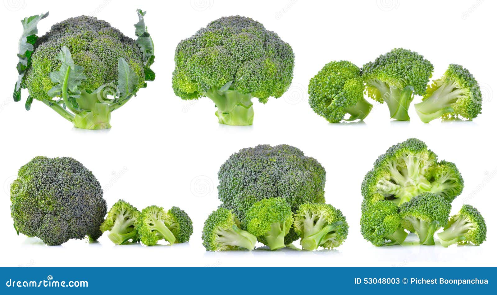 Set of Fresh Broccoli Isolated on White Background Stock Image - Image ...
