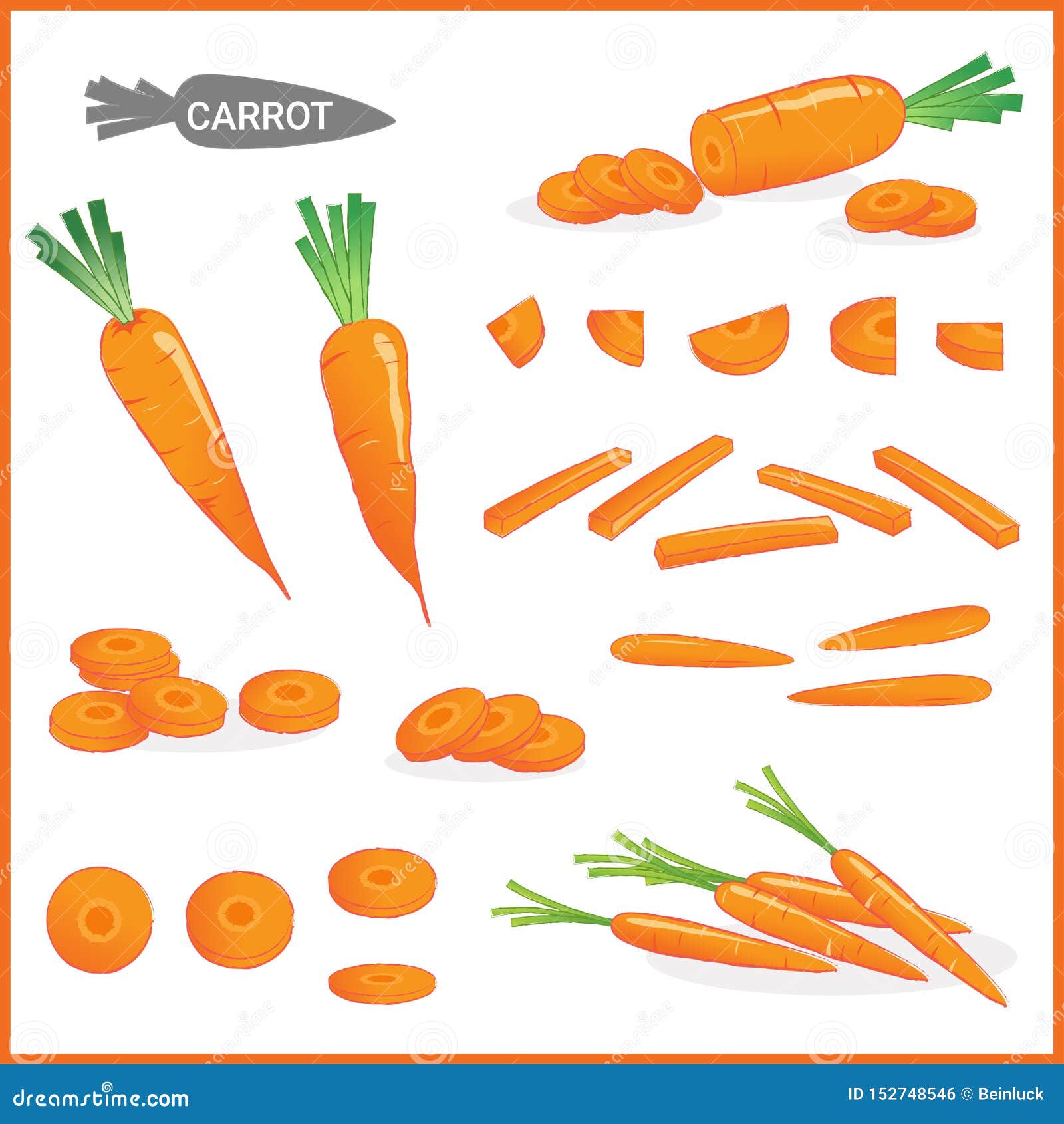 Set of Fresh Carrot Vegetable with Carrot Tops in Various Cuts and ...