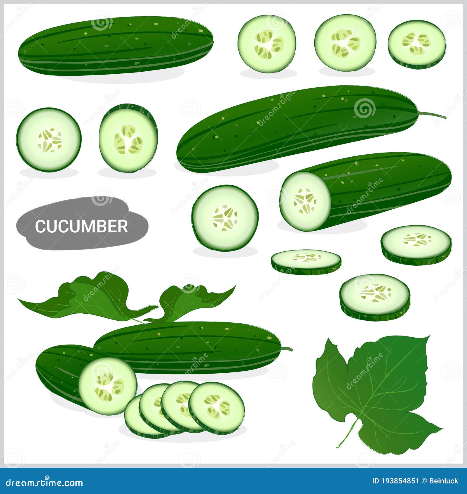 Cucumber Cartoon Vector | CartoonDealer.com #24338831