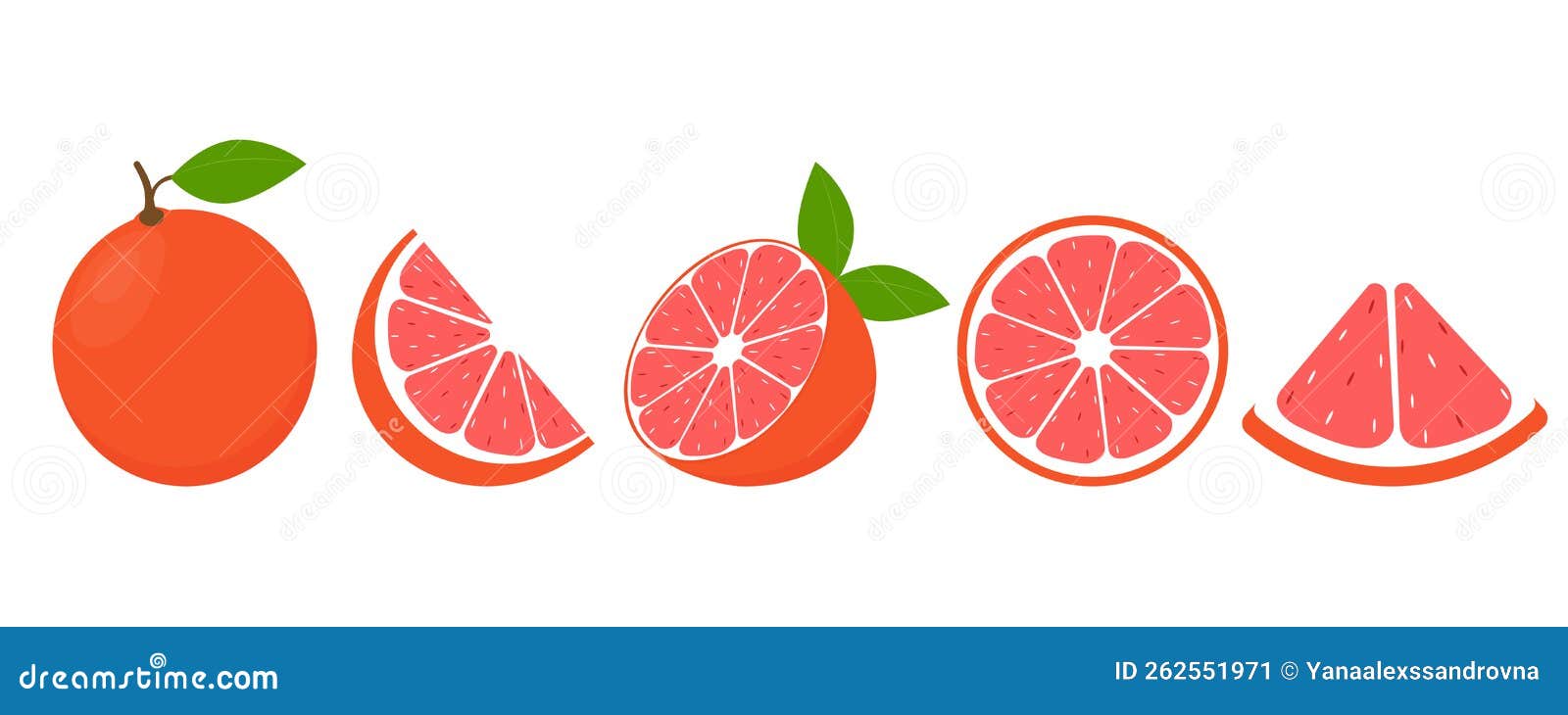 Set of Fresh Grapefruits. Grapefruit Icons on White Background. Vector ...