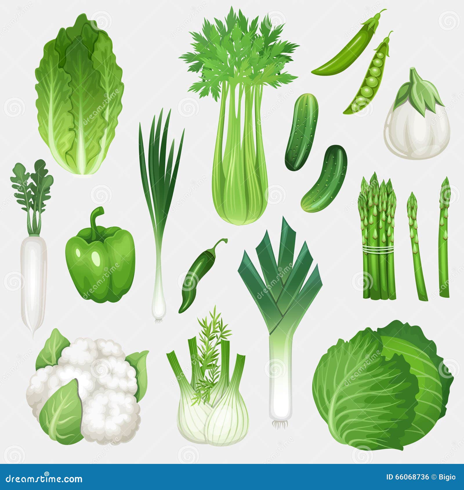 Set Of Fresh Green Vegetables. Healthy Food Vector Illustration ...