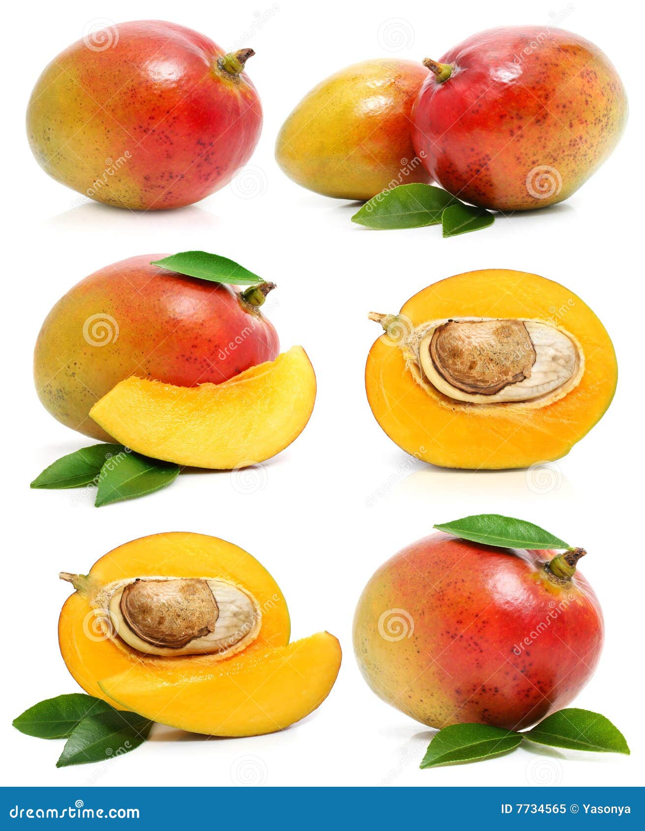 Set of Fresh Mango Fruits Isolated on White Stock Image - Image of ...