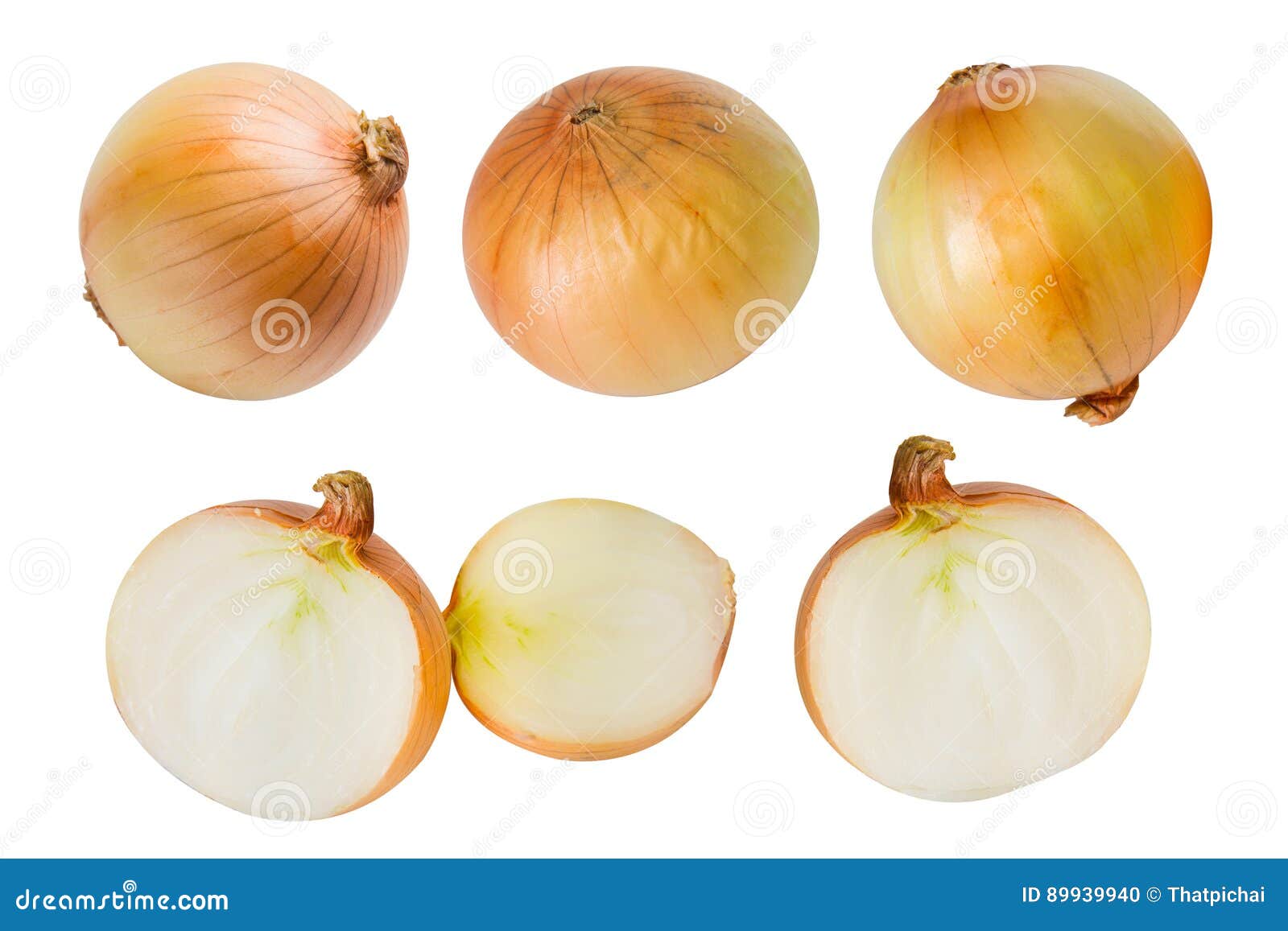 Set of Fresh Onion Isolated on White Background Stock Photo - Image of ...