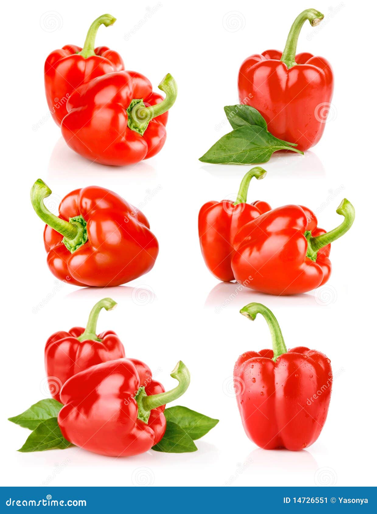 Set Fresh Pepper Fruits Isolated Stock Image - Image of fresh, vitamin ...