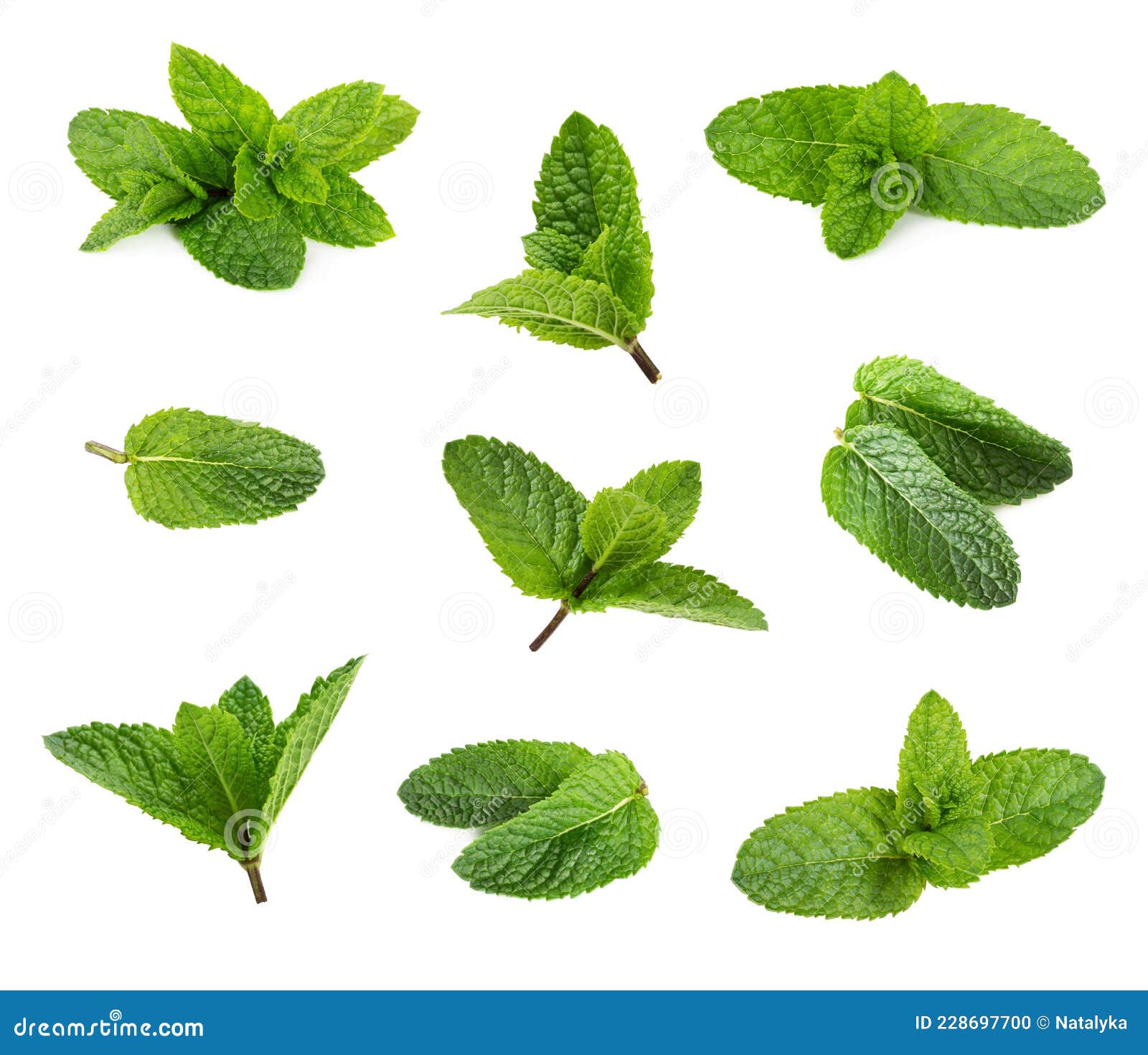 Set of Fresh Peppermint Leaves Isolated on White Stock Photo - Image of ...