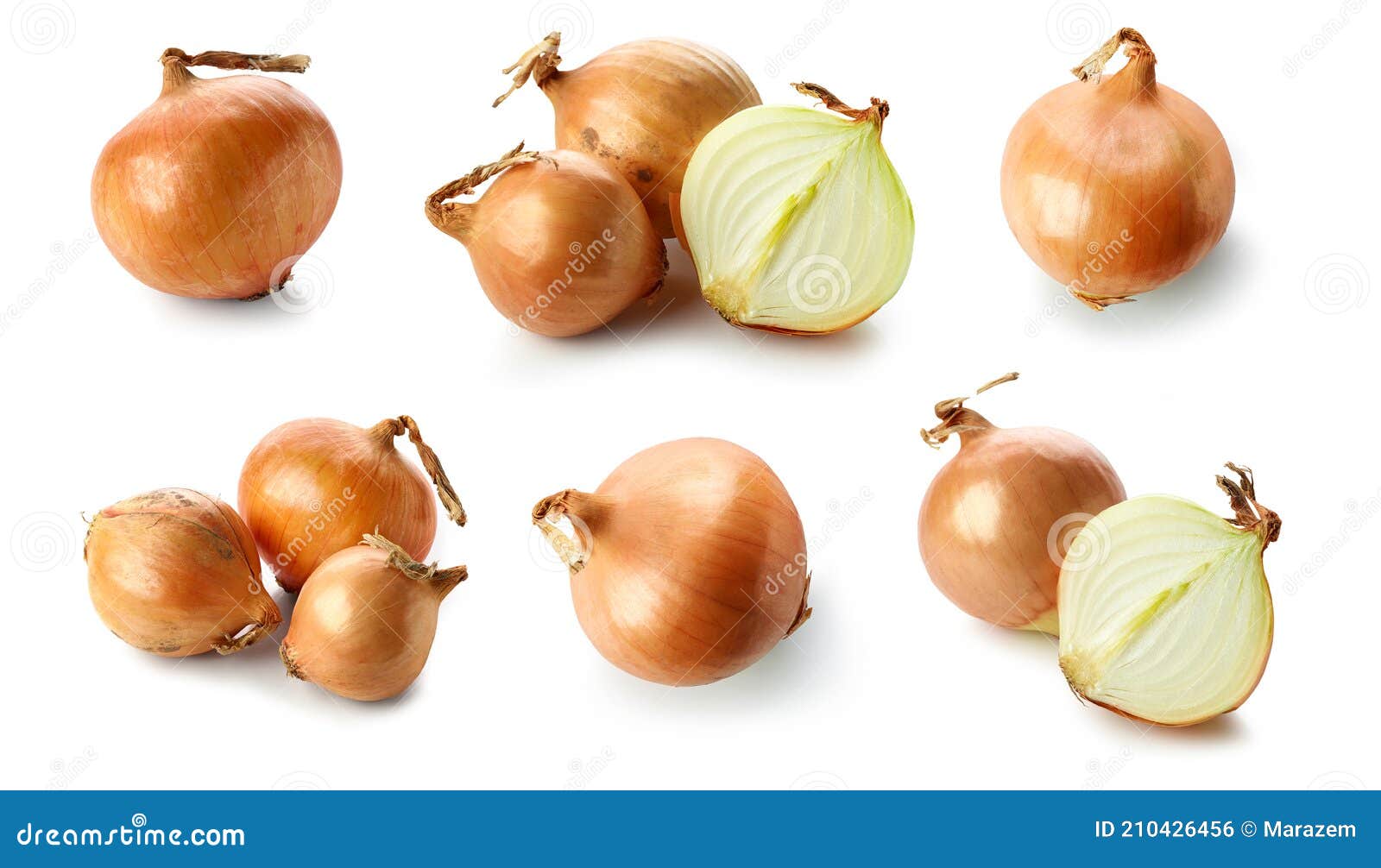 Fresh raw onions stock photo. Image of background, natural - 210426456