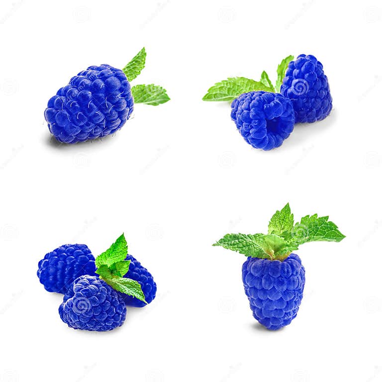 Set with Fresh Ripe Blue Raspberry on White Background Stock Image ...
