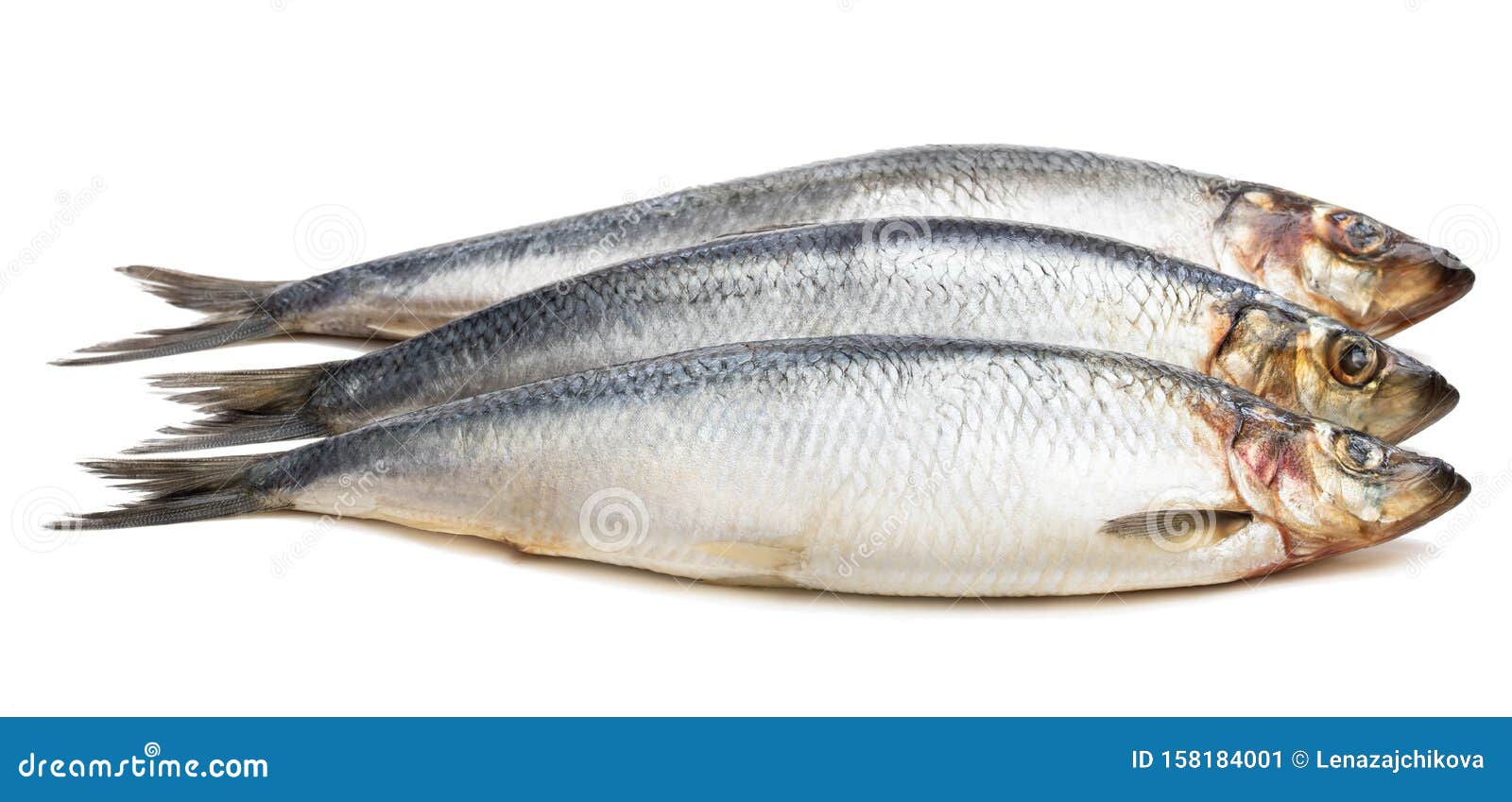 Set of Fresh Whole Herring Fish Isolated on White Stock Image - Image ...