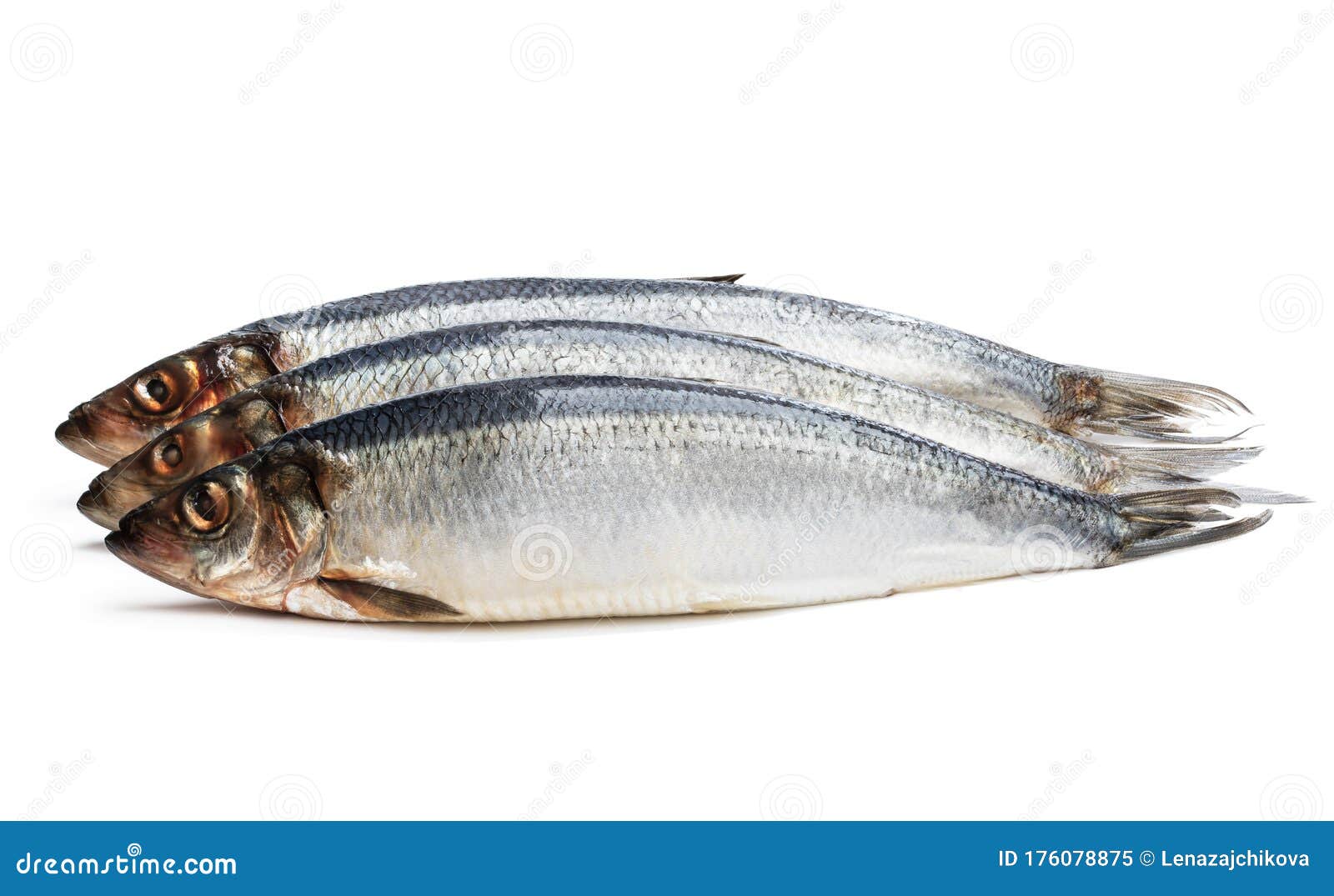 Set of Fresh Whole Herring Fish Isolated on White Stock Image - Image ...