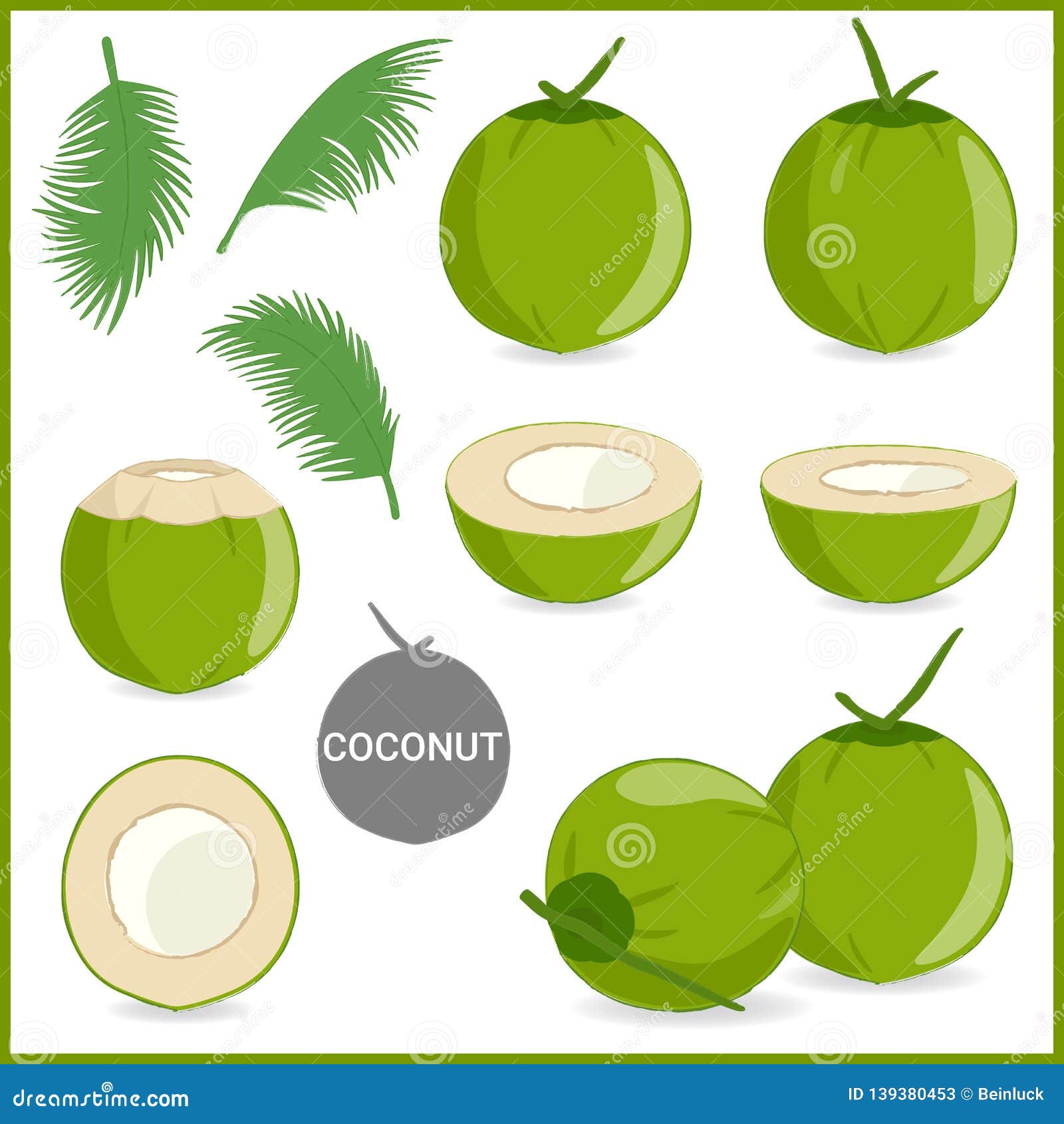 Set of Fresh Young Coconut in Vector Format Stock Vector - Illustration ...