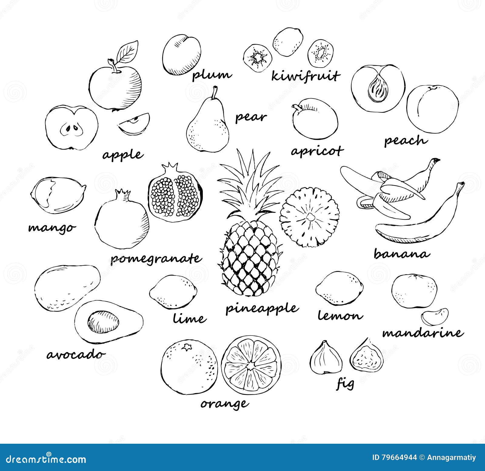 Set of fruit doodles stock vector. Illustration of line - 79664944