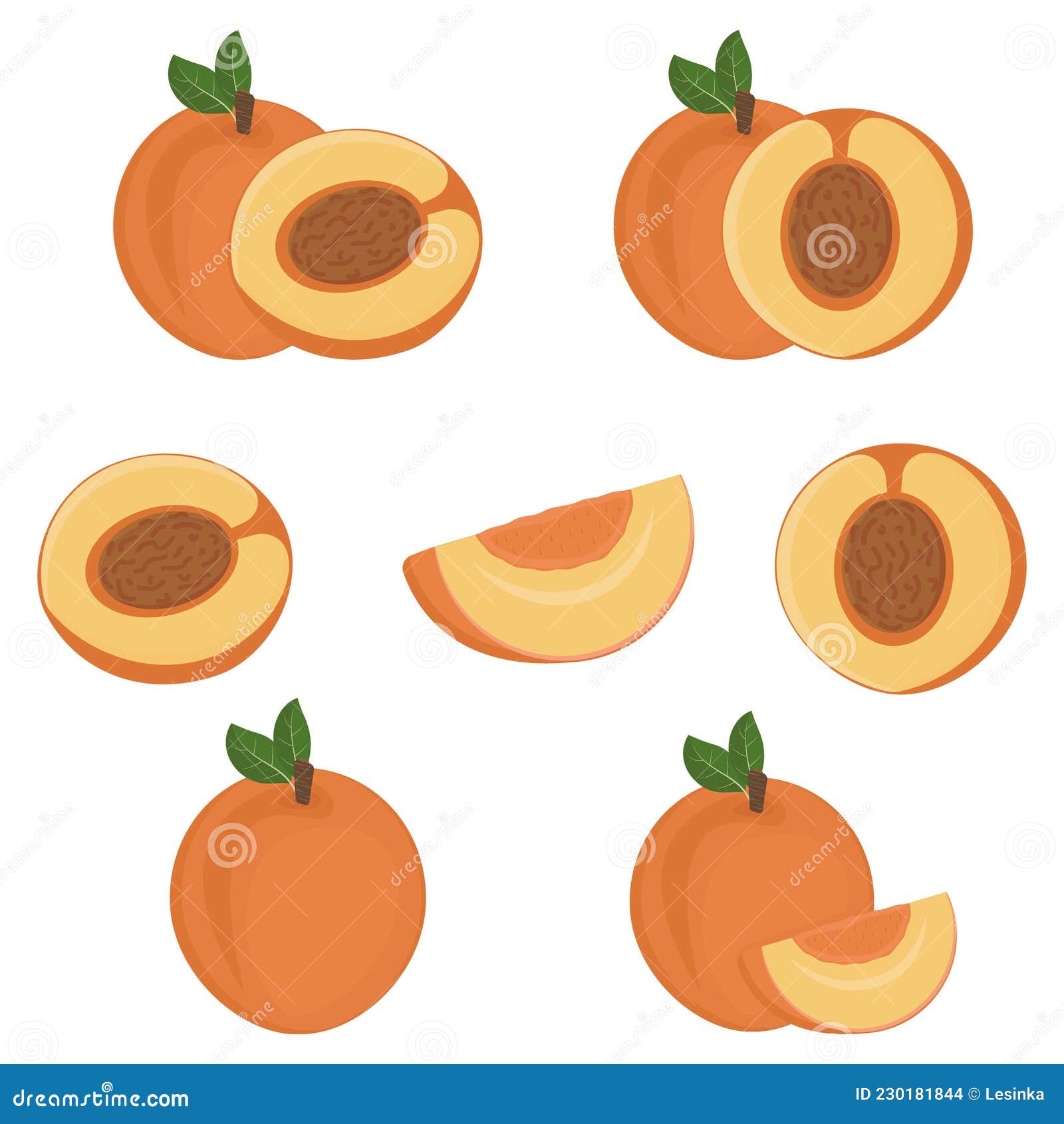 Set of Fruit Peach Halves with a Stone, Color Isolated Vector ...