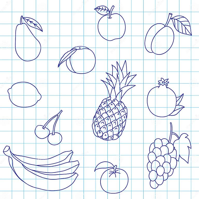A Set of Fruit, Sketch in a School Notebook. Stock Vector ...