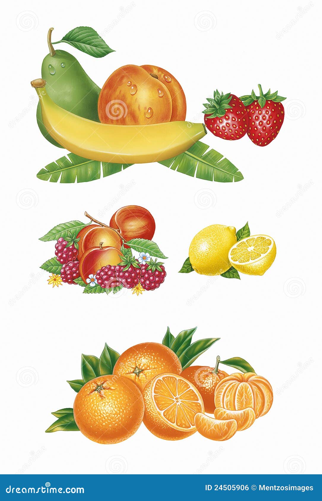 Set of Fruits stock illustration. Illustration of banana - 24505906