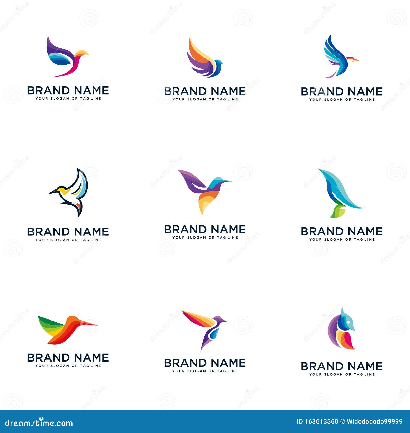 Set Full Color Bird Design Logo Vector Template Stock Vector ...