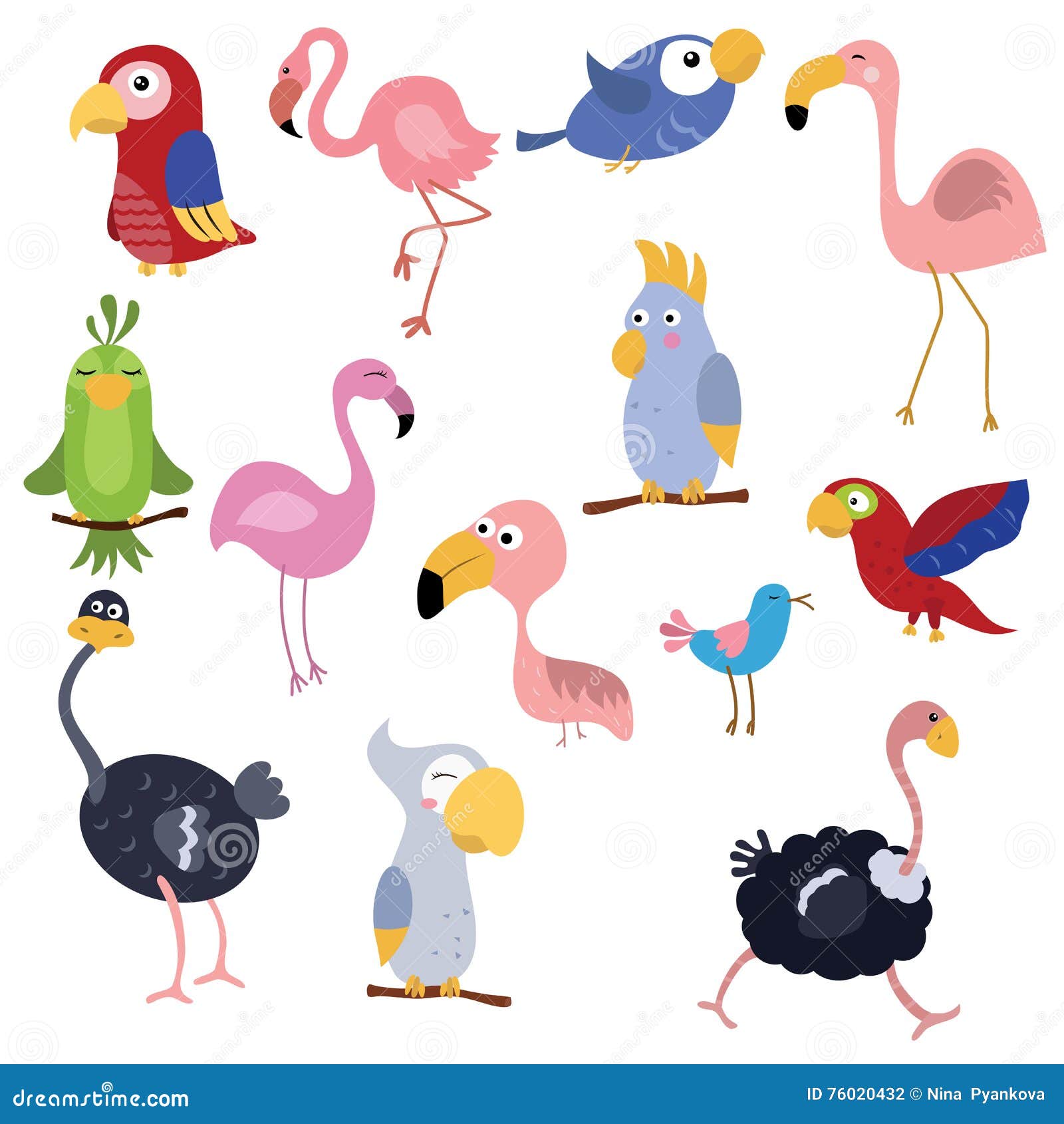 African Birds - South African Hawk Eagle - Kruger National Park Vector ...