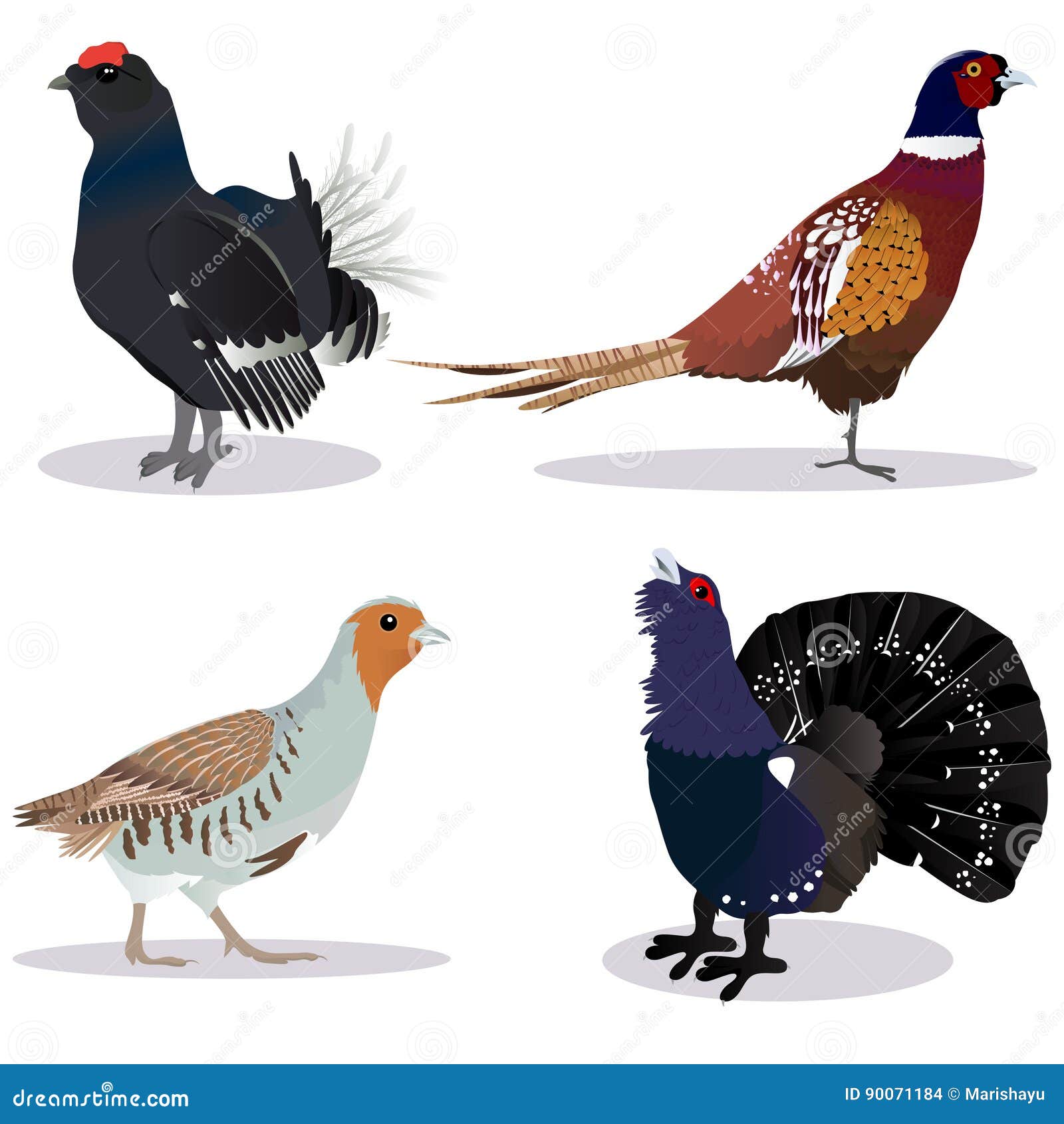 Set of game birds stock vector. Illustration of beak - 90071184
