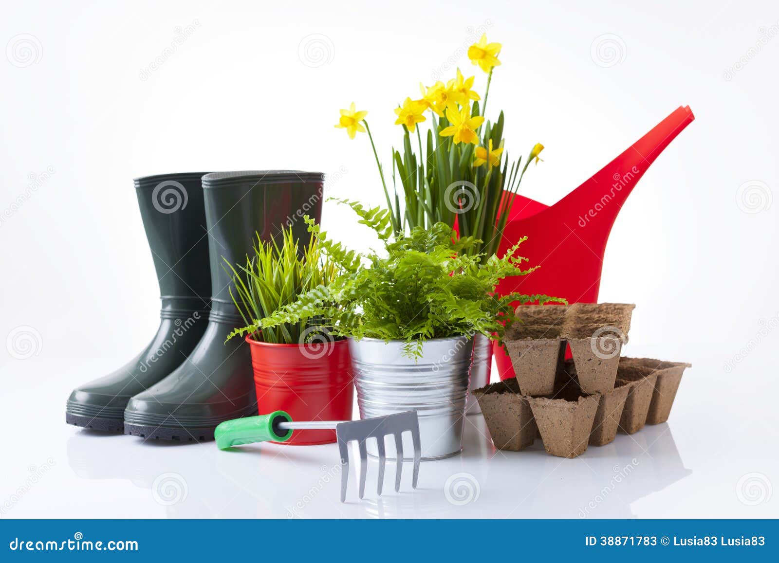 Set of Garden Tools and Garden Flowers Stock Image - Image of plant ...