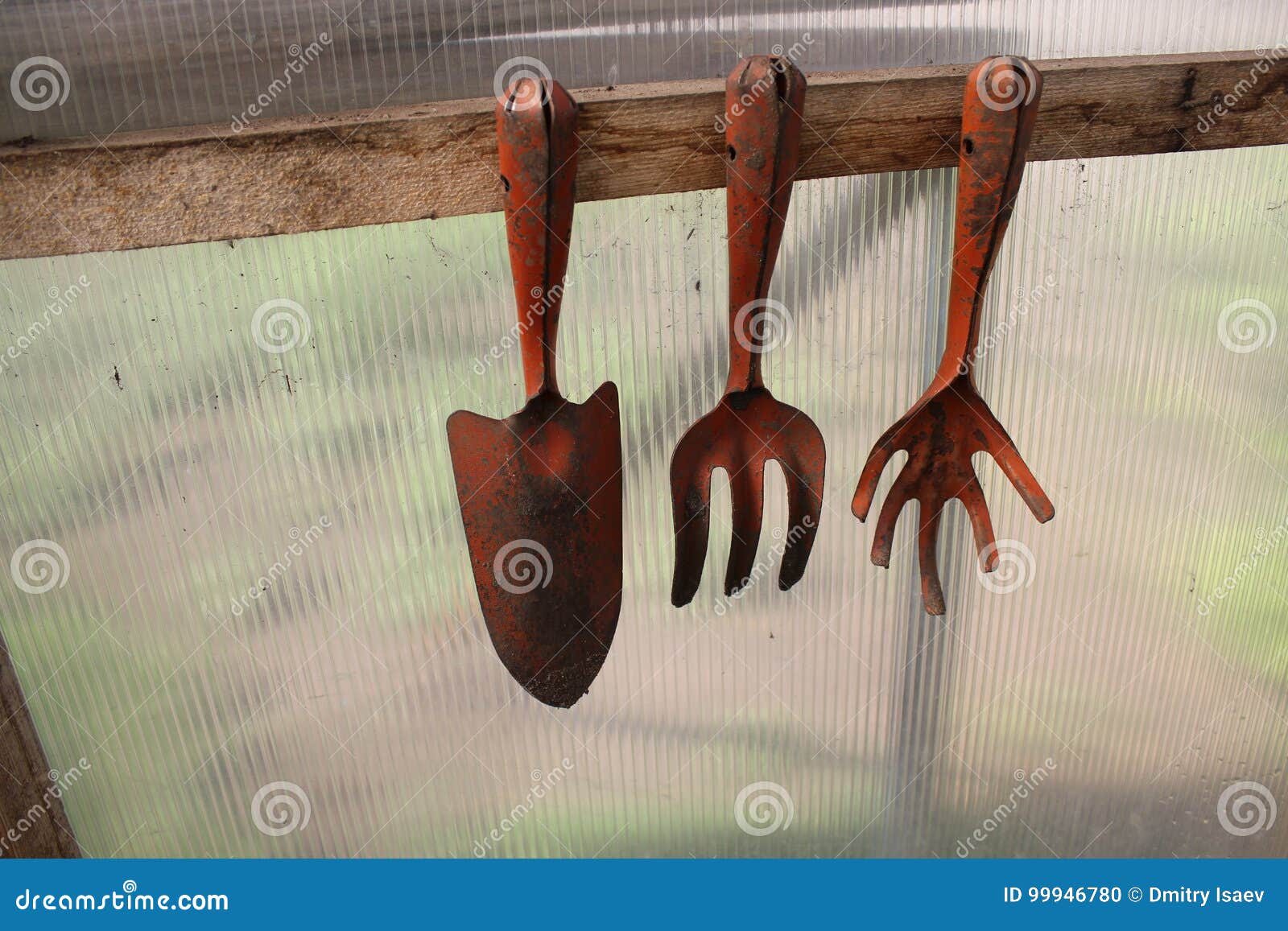 Set of Garden Tools in the Greenhouse Stock Photo - Image of cheerful ...