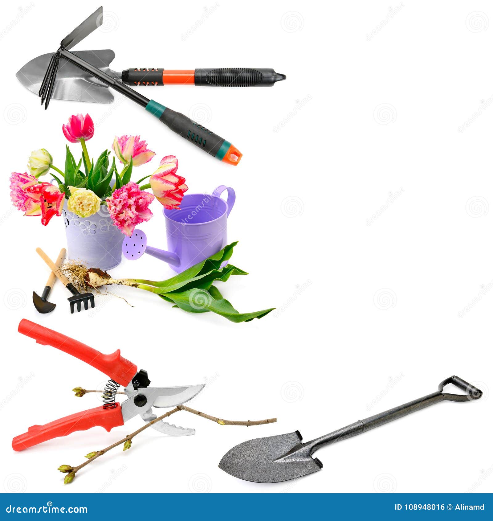 Set of Garden Tools Isolated on White Background. Collage Stock Photo ...