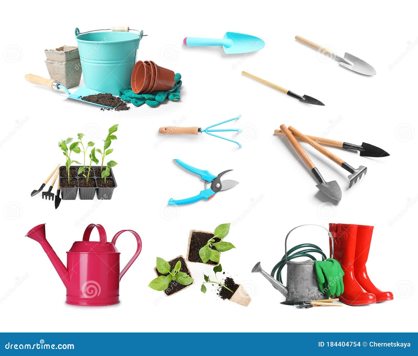 Set of Gardening Tools and Vegetable Seedlings on Background Stock ...