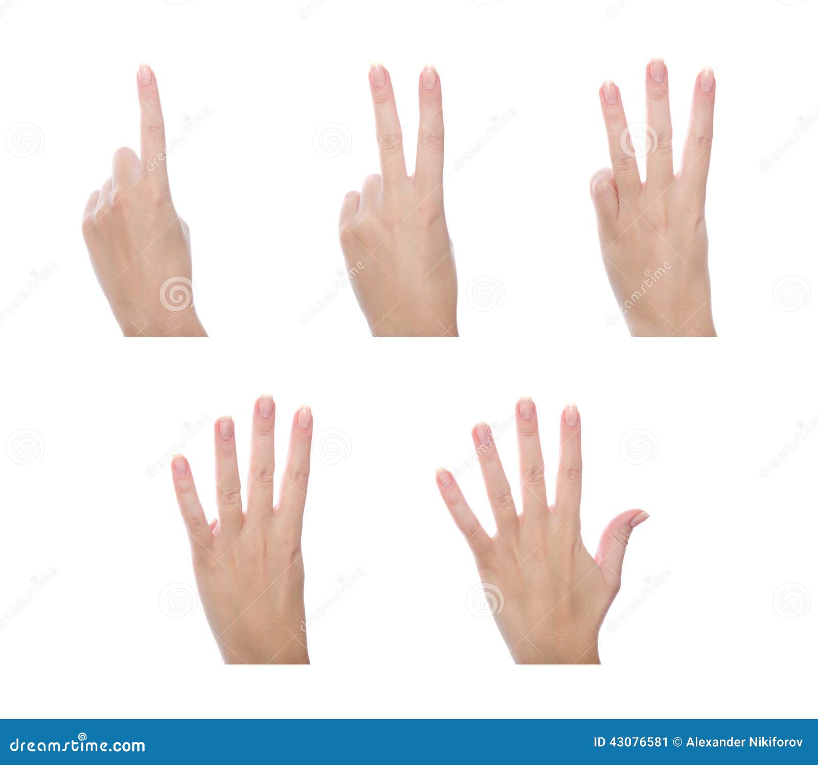 Set of gestures stock image. Image of sign, body, collection - 43076581