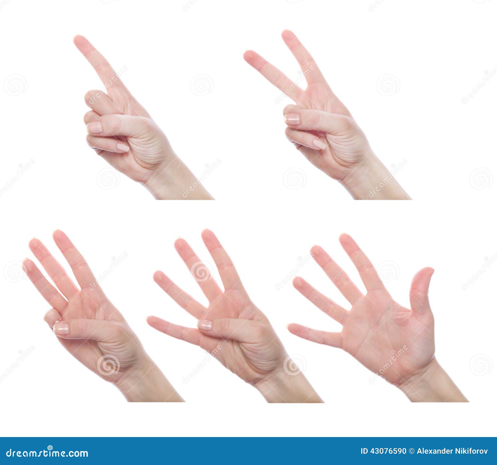 Set of gestures stock photo. Image of collection, thumb - 43076590