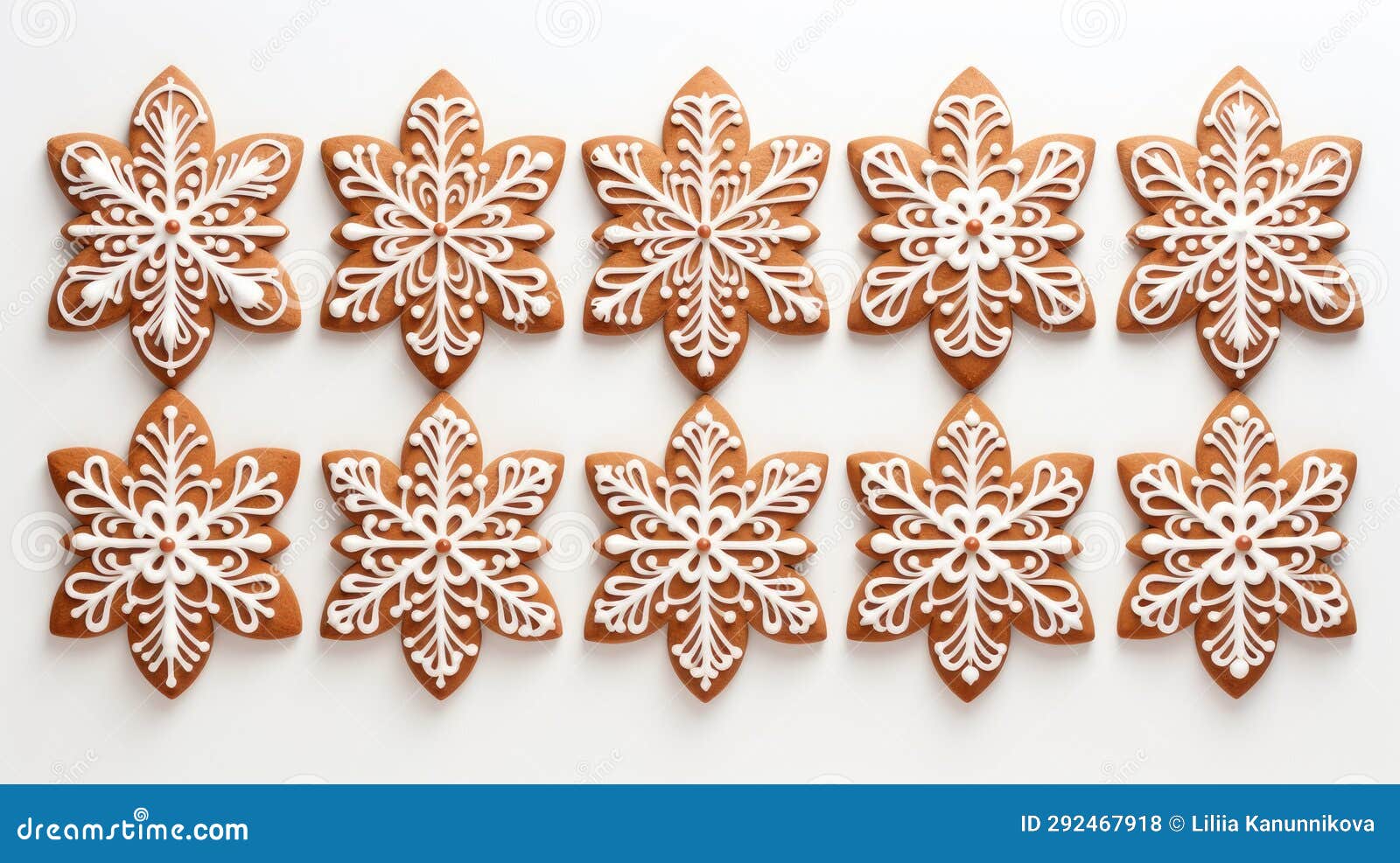 A Set of Gingerbread Cookies in Patterns on a Plain White Background ...